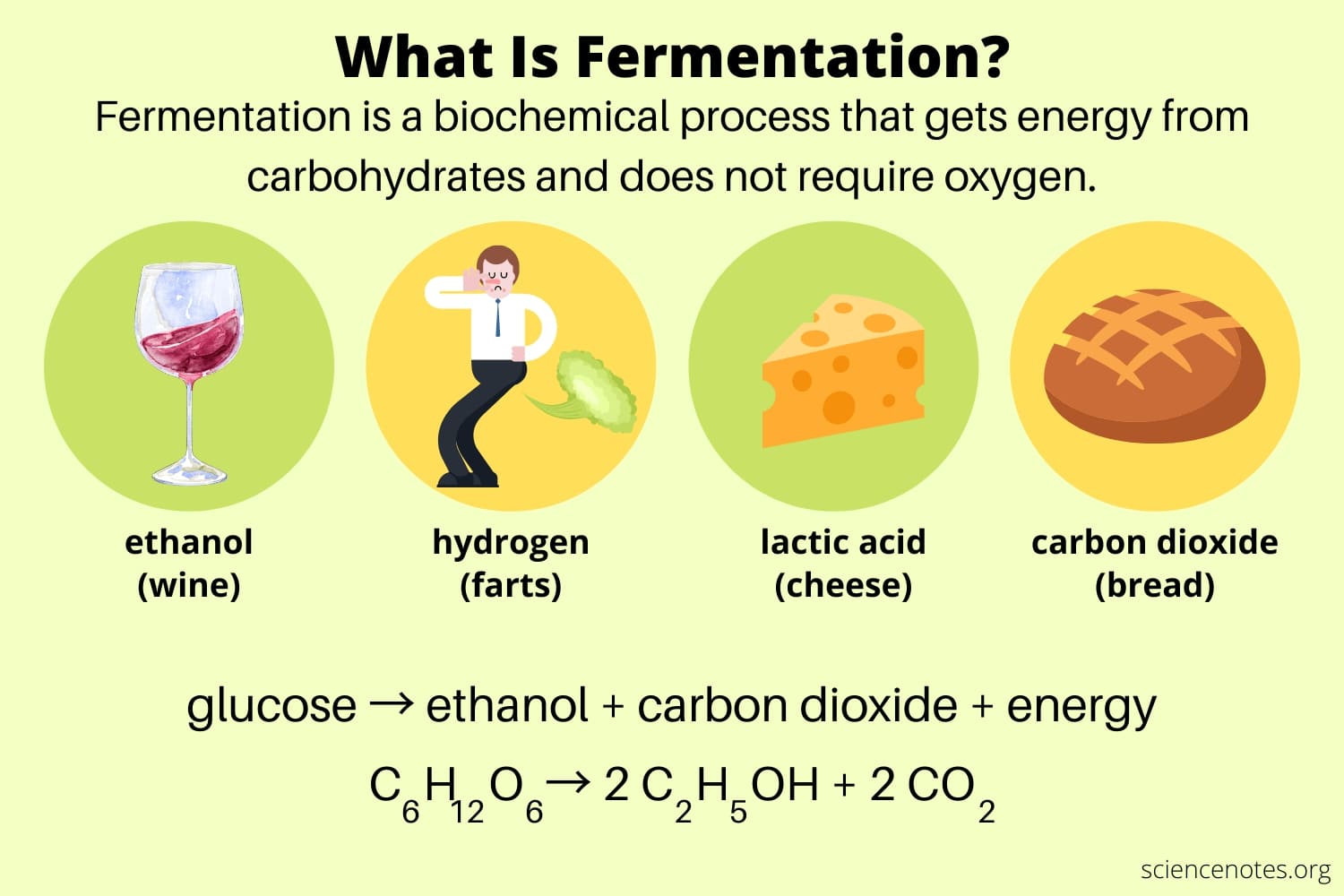GCSE Biology – Bioenergetics - Edumentors