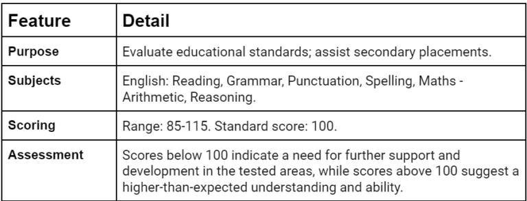 What is Key Stage 2? - an in-depth Look - Edumentors