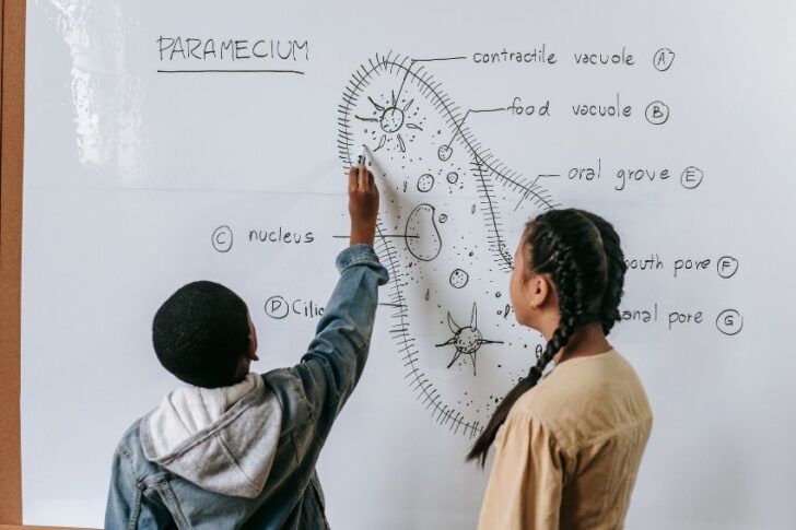 What Are The Hardest GCSE Subjects? - Edumentors