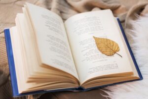 Guide to Poem Structure for GCSE English Literature