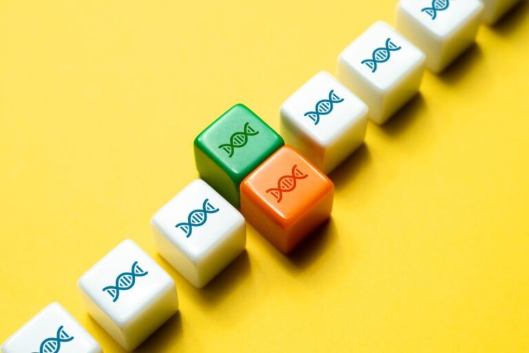 What Is DNA Replication A-Level Biology? - A Detailed Guide