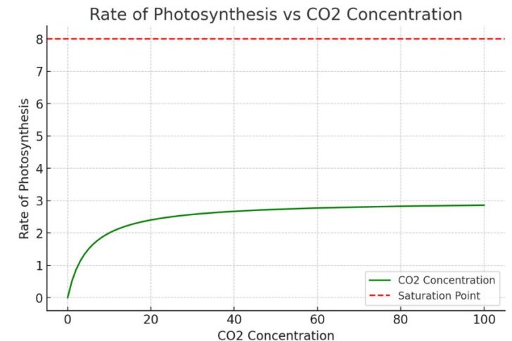 Limiting Factors of Photosynthesis (A-Level Biology)