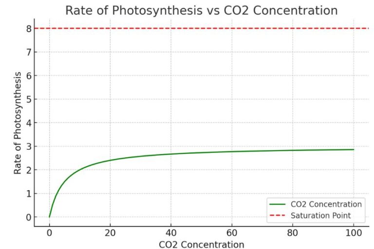 Limiting Factors of Photosynthesis (A-Level Biology)