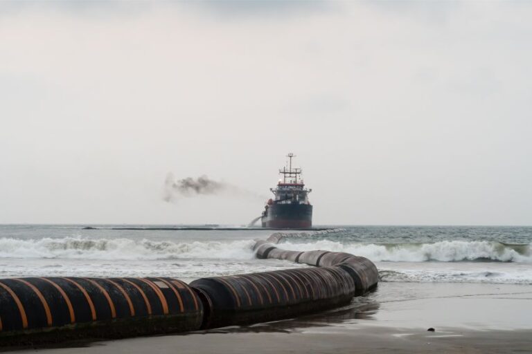 Soft Engineering: A Ultimate Guide to Coastal Protection