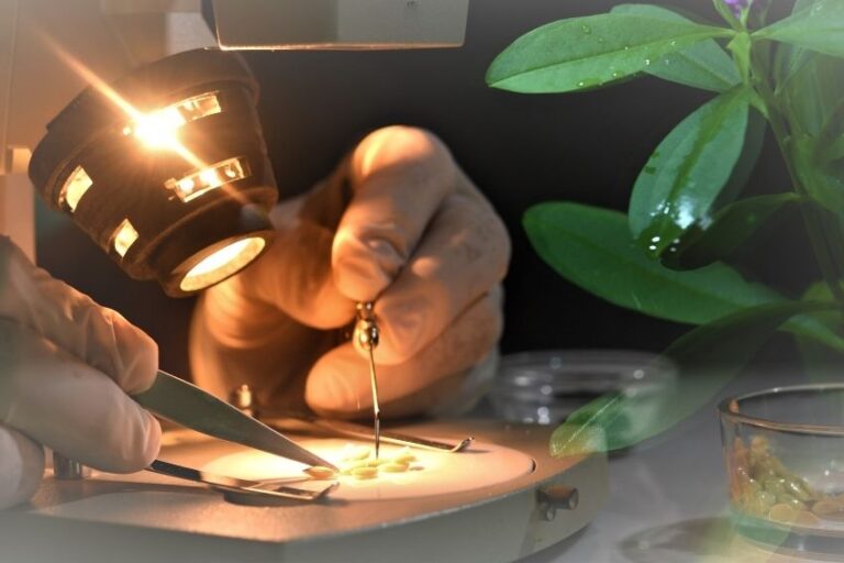 What is Transpiration in Plants? (GCSE Biology